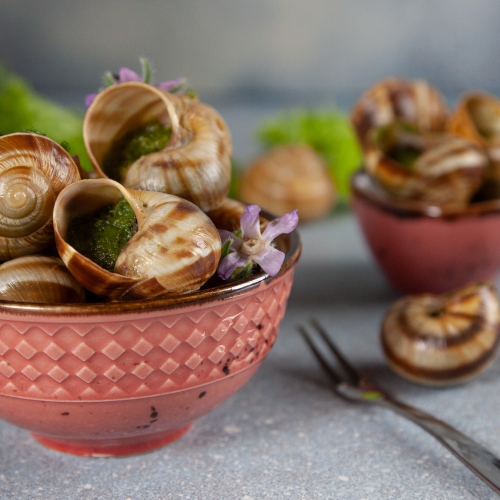 Kocaman Balıkçılık | Frozen Products